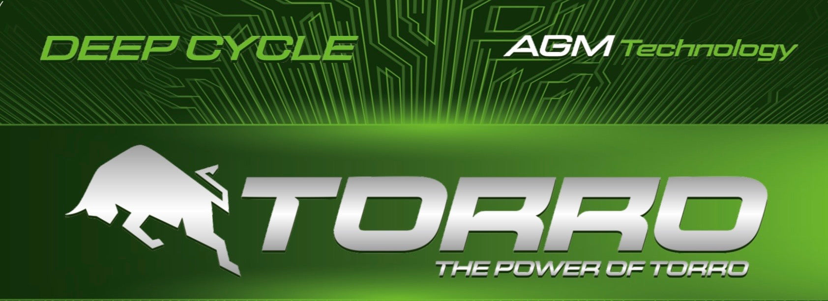 TORRO BATTERIES – THE BATTERY SHOP EGYPT